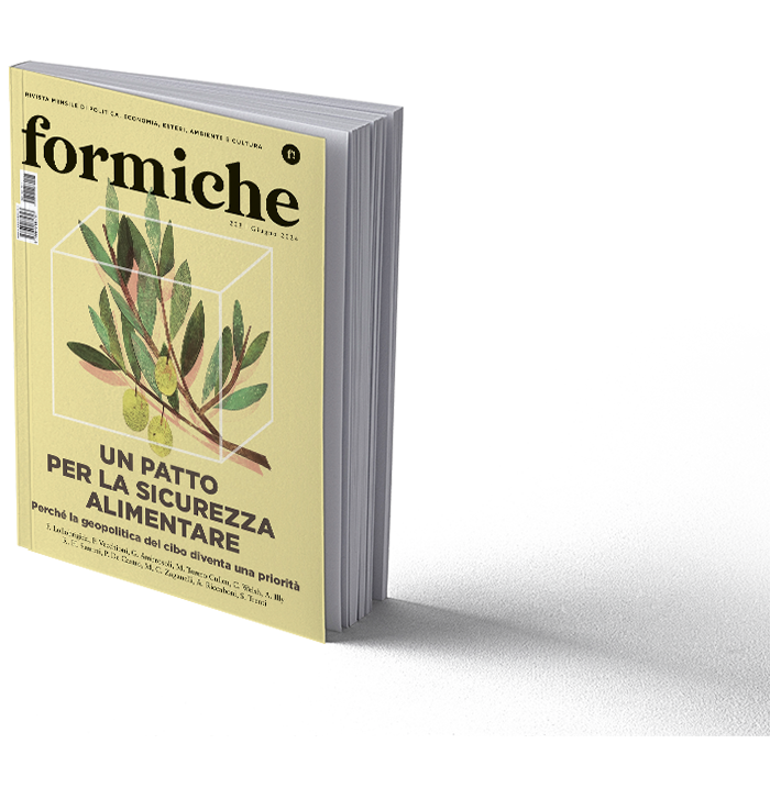 Shop - Rivista formiche.net