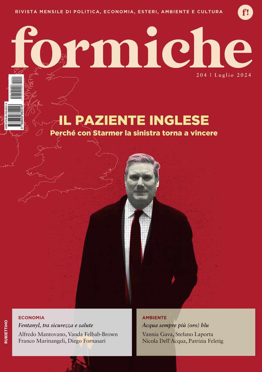 Shop - Rivista formiche.net